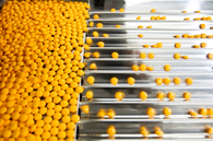 A Guide to Phase 1 Clinical Trial Designs