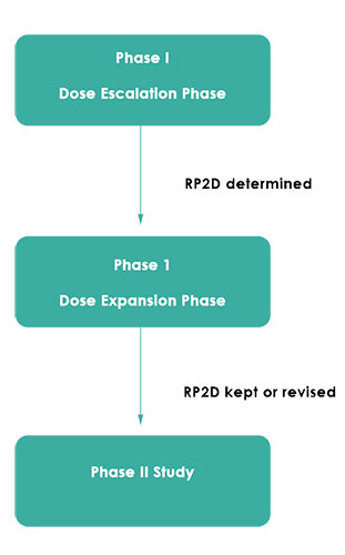 Dose Expansion Phases in Oncology Trials: A Guide to RP2D