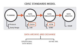 Understanding CDISC Standards in Clinical Research: A Complete Guide