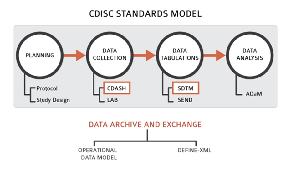 Understanding CDISC Standards in Clinical Research: A Complete Guide