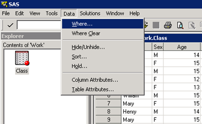 SAS Tips and Tricks - An Overview of Good Programming Practices